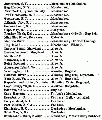 The Menhaden of History – Southern Fried Science