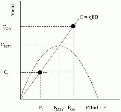 Maximum (un)Sustainable Yield – Southern Fried Science