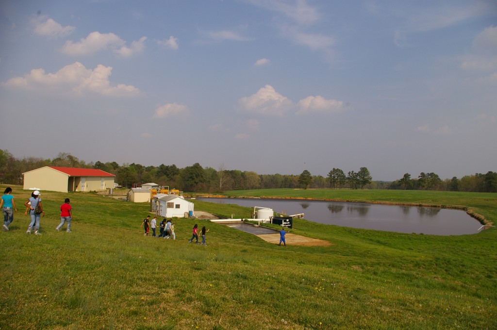 That sinking feeling: Hog lagoons, superbugs, and the proliferation of ...