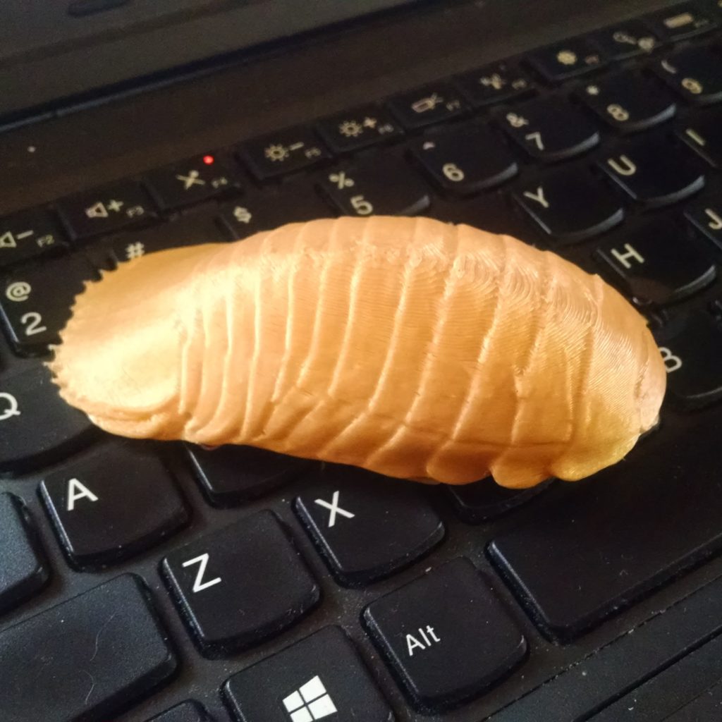 The 3D-Printed Giant Deep-sea Isopod You Always Wanted. – Southern ...