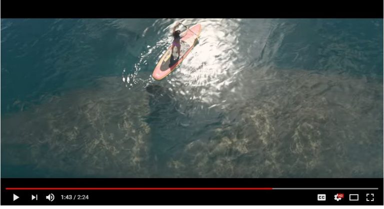 A scene-by-scene breakdown of the first trailer of “The Meg” – Southern ...