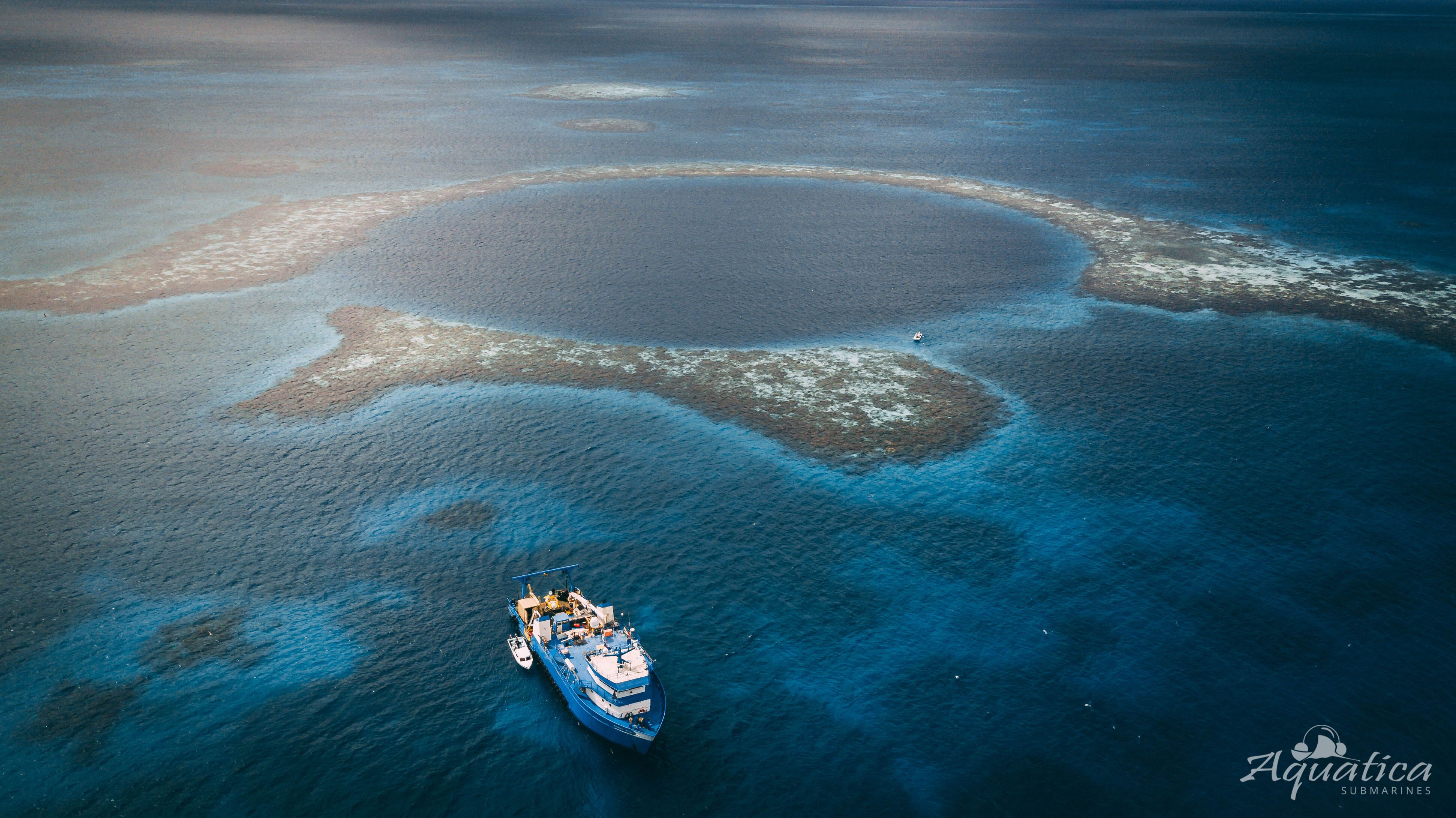 Logs from a majestic pit of acid: Diving Belize’s Blue Hole with Erika ...