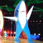 10 sharks that mattered in the 2010’s – Southern Fried Science