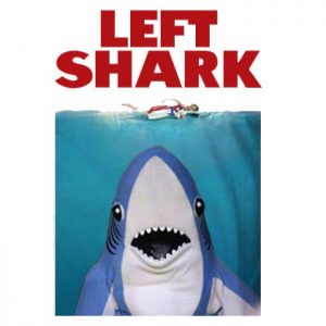 10 sharks that mattered in the 2010’s – Southern Fried Science