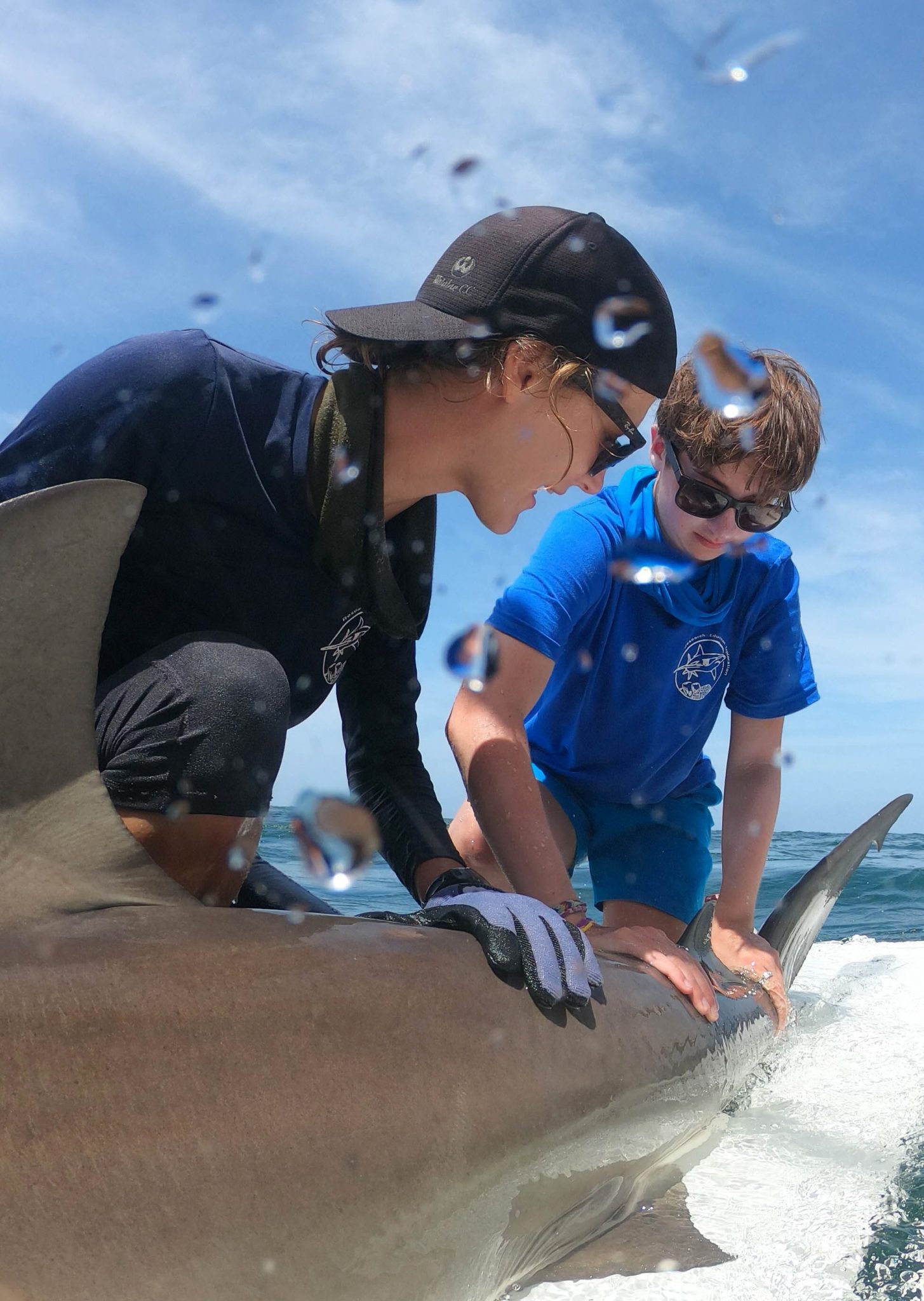 Creating Healthy Working Cultures in Marine Science Education ...