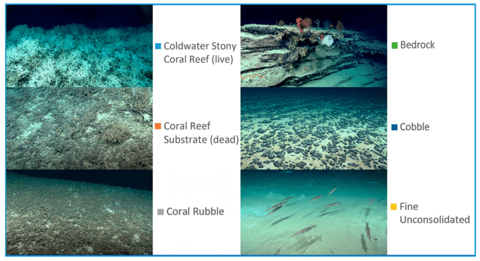The world’s largest cold water coral reef lies beside the first ...