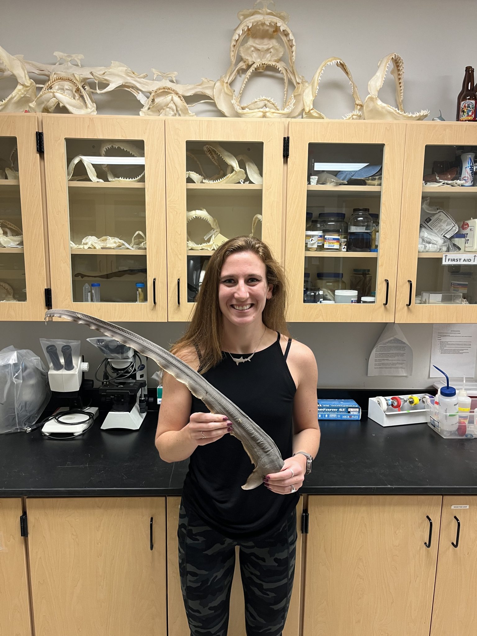 Here’s how thresher sharks whip their tails back and forth – Southern ...