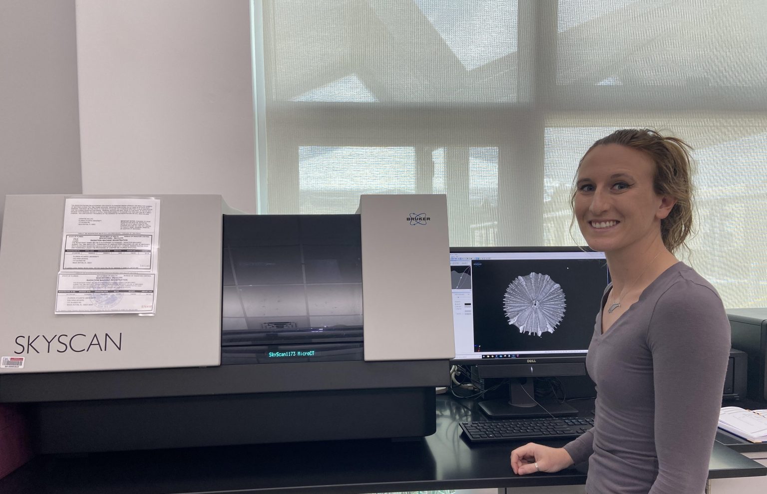 Here’s how thresher sharks whip their tails back and forth – Southern ...