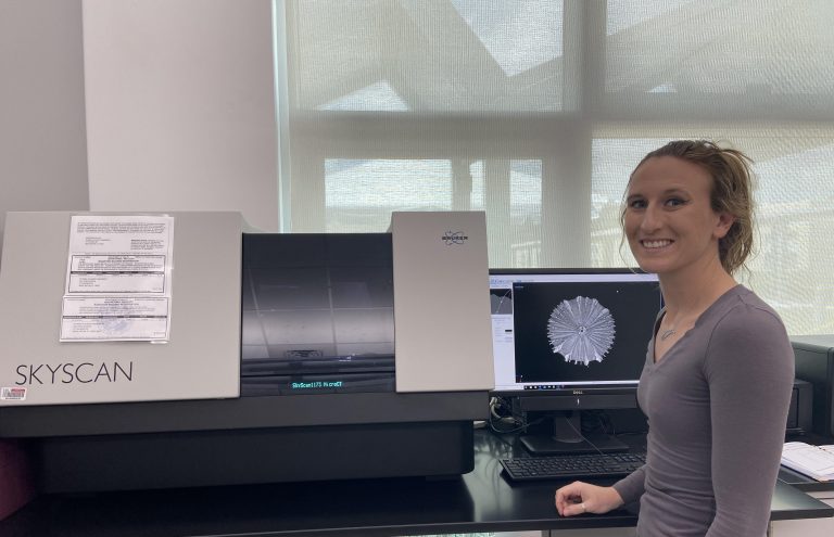 Here’s how thresher sharks whip their tails back and forth – Southern ...