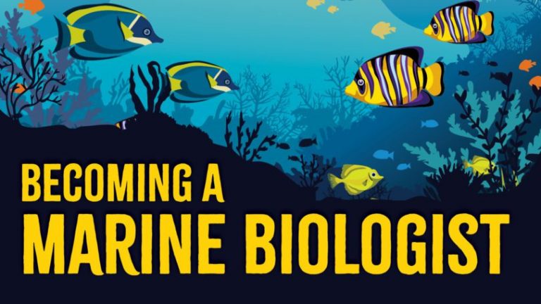 Here’s what I teach my students about finding jobs in marine biology ...