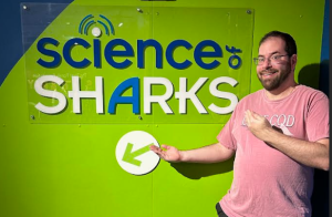 These are the 10 most-cited shark science papers of all time – Southern ...