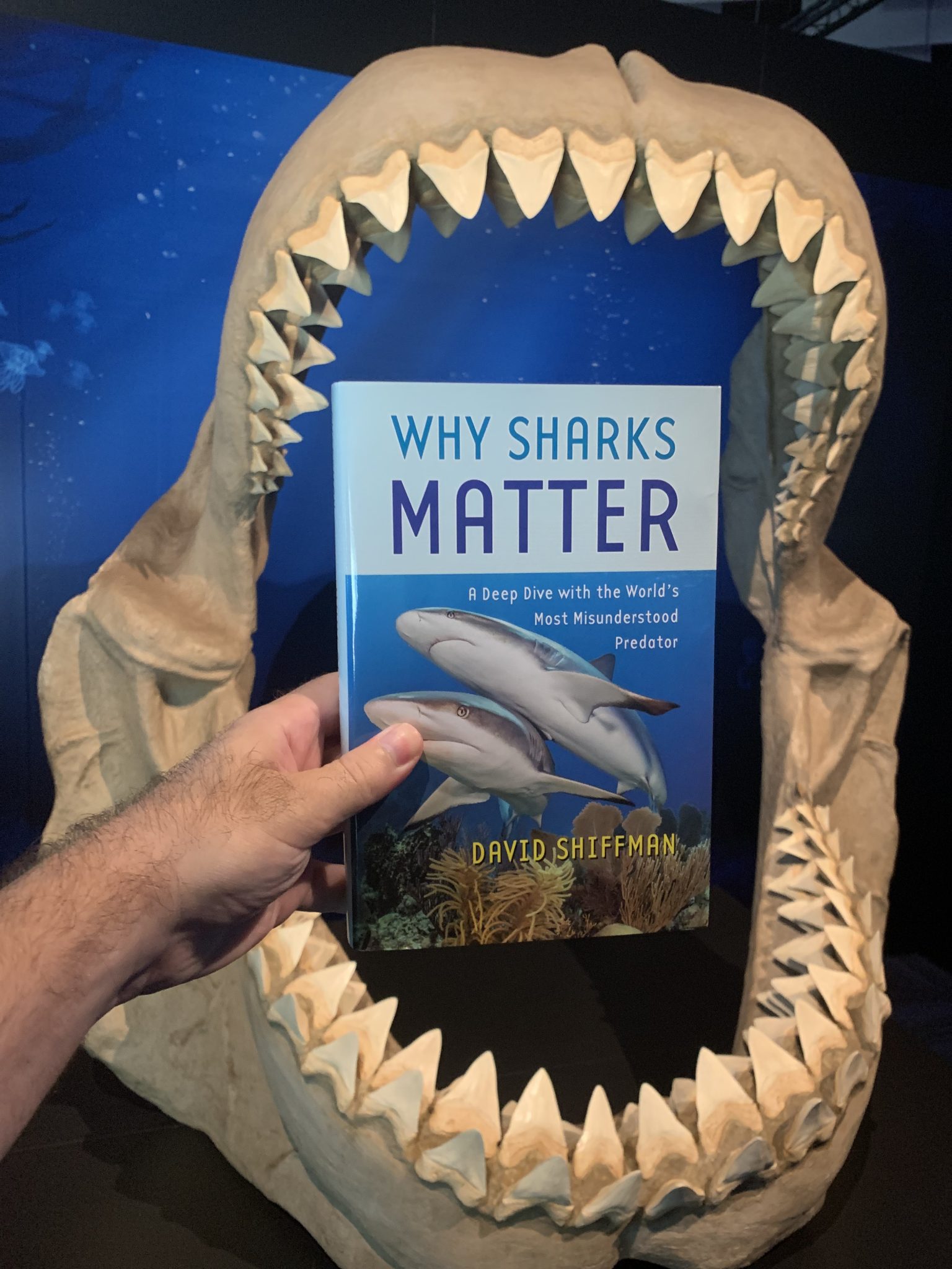 Considering writing a popular science book? Here’s my advice – Southern ...